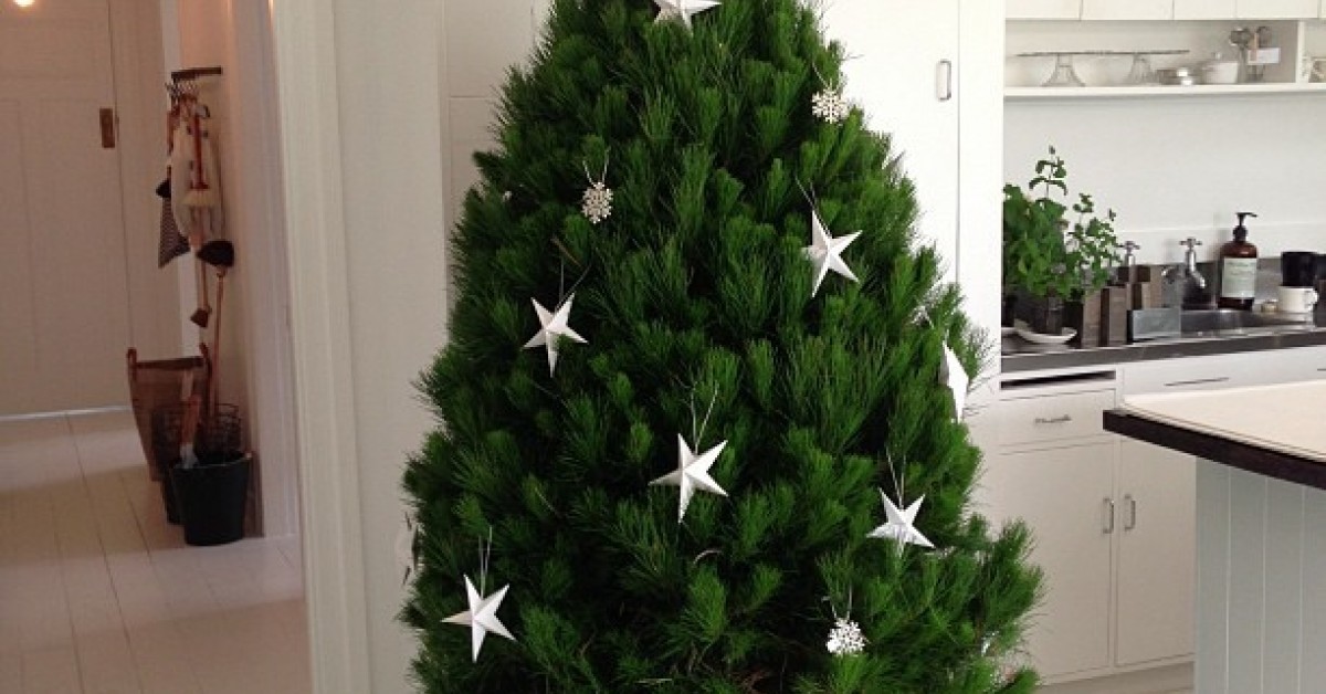 'The Works' delivery - St Nicks Freshly Cut Xmas Trees